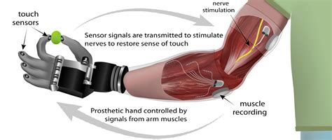 Closed Loop Center For Neural Interfaces