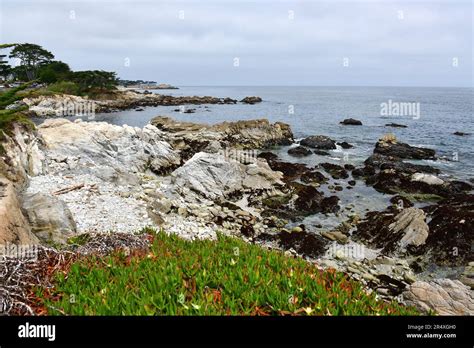 Coast Lovers Point State Marine Reserve Monterey Bay National Marine