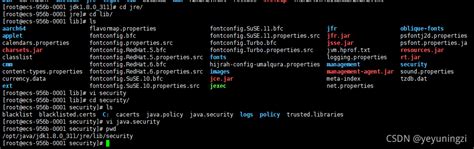 Javalangsecurityexception Jce Cannot Authenticate The Provider Bc问题
