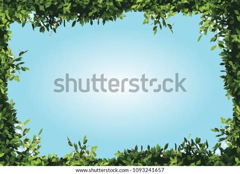 Tree Frame Vector Stock Vector Royalty Free 1093241657 Shutterstock