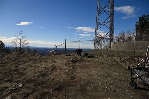 Windy Eagle Scenicart