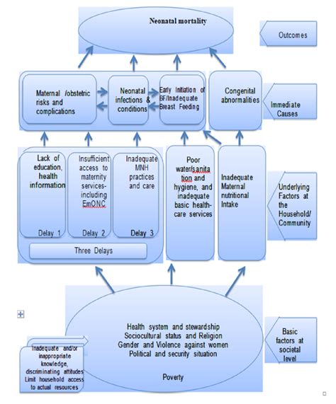 Adapted From Unicef Conceptual Framework Unicef 2009 Download