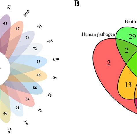 flower plot a and venn diagram b illustrating core and specific