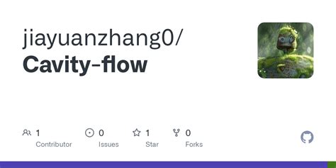 github jiayuanzhang0 cavity flow