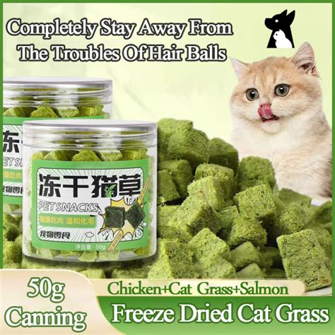 Freeze Dried Cat Grass 50g Chicken Cats Grasses Cube Molar Catnip Chicken Cats Grasses Cubes