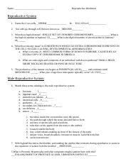 Reproductive Worksheet Babe Doc Name Reproductive Worksheet Reproductive System Name