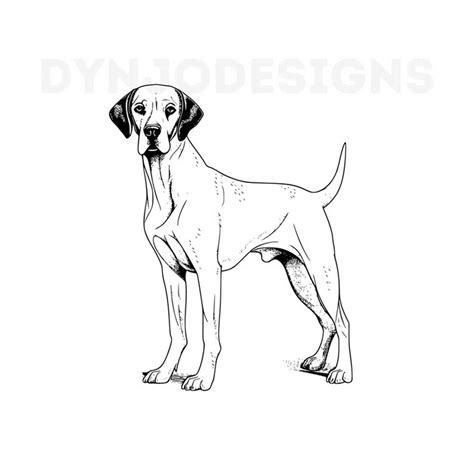 English Pointer Svg English Pointer Clipart English Pointe Inspire