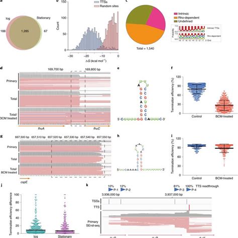Pervasive Bidirectional Overlapping Ttss Revealed By Send Seq A