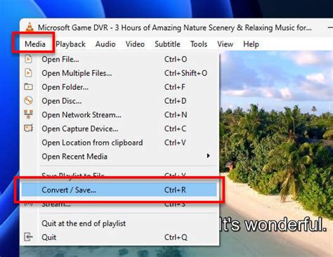 vlc could not open the mpga mp4v mp4a audio encoder