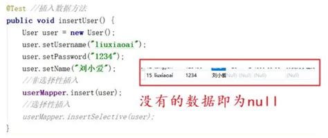 Mapper的使用capdmapper Csdn博客