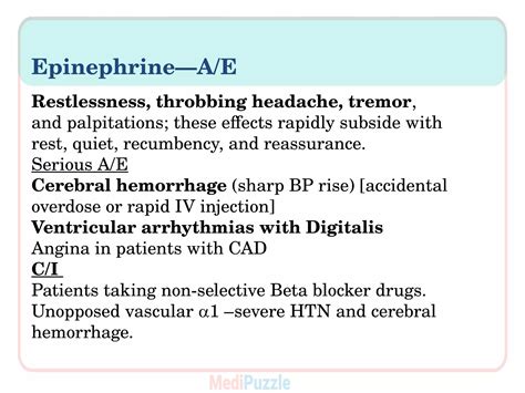 Ans Adrenergicdrugs Catecholaminespdf