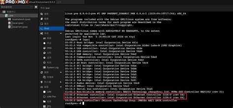 PVE 如何添加 PCIe 设备 一起玩 NAS