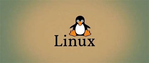 彻底搞懂 linux 中的权限【详解】 知乎