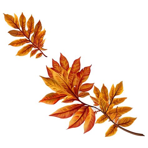 Download Fall Foliage Png 32
