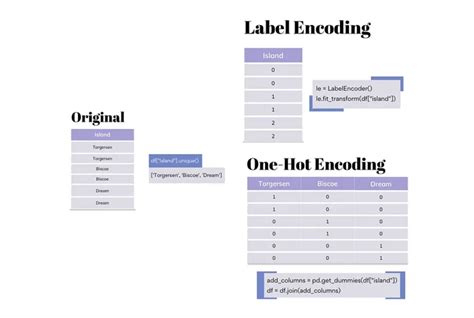 Machinelearning Datascience Datapreprocessing Featureengineering Labelencoding