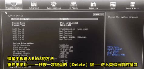 电脑bios界面怎么进入 详细指南 驱动人生