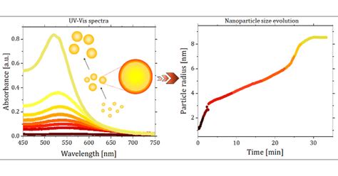 Particle Size Evolution During The Synthesis Of Gold Nanoparticles