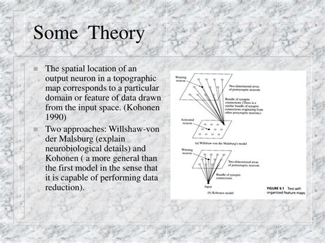 Ppt 2806 Neural Computation Self Organizing Maps Lecture 9 Powerpoint