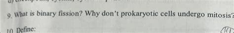 Solved What Is Binary Fission Why Don T Prokaryotic Cells Chegg