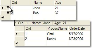 How To Bind An XPCollection To The DataGrid XPO NET ORM Library DevExpress Documentation