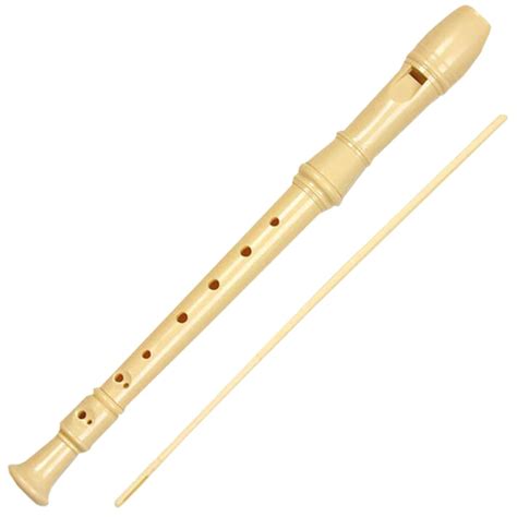 Flauta Con Estuche Y Limpiador Didácticos Sur Material Y Juegos Didácticos ‎chile