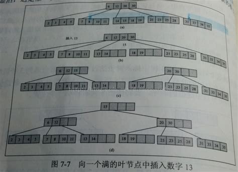 多叉树oracle白皮书 多叉树 Csdn博客