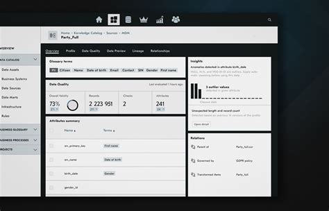 Quality Monitoring Data Profiling Tool Development Acropoliums Case Study