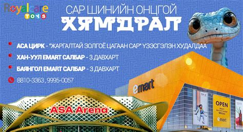 Royalcare Toys Сар шинийн баярт зориулсан онцгой хямдрал