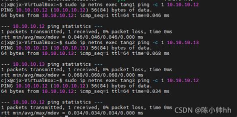 通过veth pair和bridge实现多个network namespace互通 ip link add type veth peer csdn博客