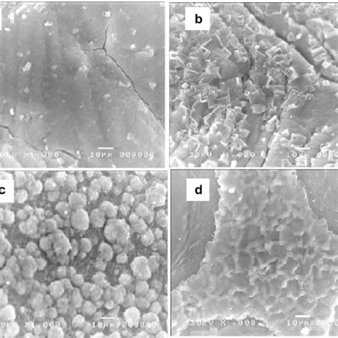 Chemical Structure Of Pectin And Alginate Download Scientific Diagram