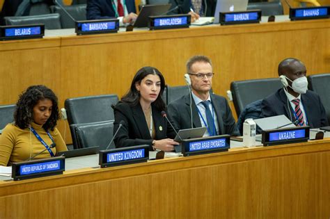 Uae Statement At The Un General Assembly Second Committee General Debate Permanent Mission Of