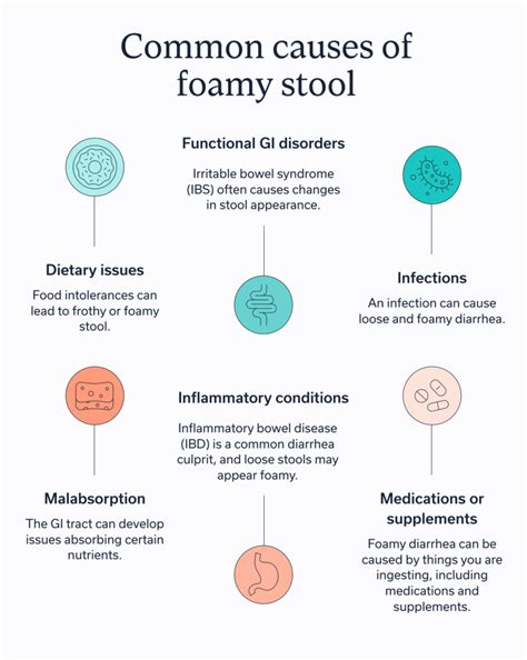 Why Is My Poop Bubbling In The Toilet A Guide To Types Of Poop And