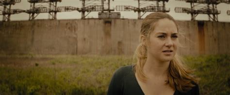 Tobias And Tris Fear Landscape