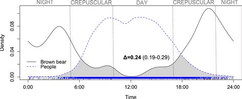 diel activity patterns kernel density curve for the brown bear over