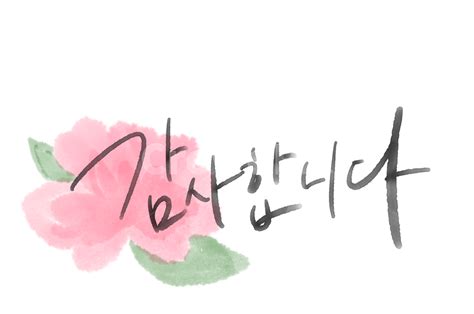 캘리그라피 캘리그래피 감사합니다 감사손글씨 꽃일러스트 사진 이미지 일러스트 캘리그라피 Jiu작가