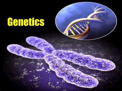 Q1 Science 8 Week4 Day 5 Pptx Science Re Pptx