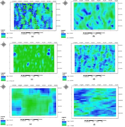 The Best Selected Features Of The Sar Data For Biomass Estimation By
