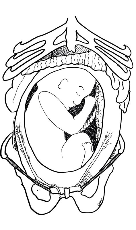 Resources The Breech Release