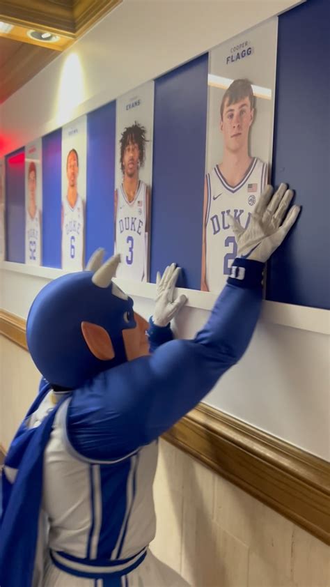 Duke Blue Devil The Duke Bluedevil • Instagram Photos And Videos