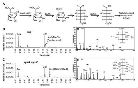 A New Method For Compositional Analysis Of Methyl Uronides A General