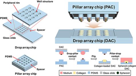 Simple Devices Enhance The Embedment Of Spheroids Into Hydrogel Array