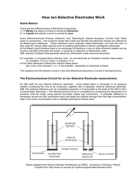 Ion Selective Electrodes Ises How They Work