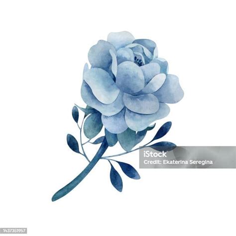 남색 가지 나뭇잎 및 꽃으로 수채화 구성 손으로 그린 파란 장미 클립 아트 작약에 대한 스톡 벡터 아트 및 기타 이미지 작약