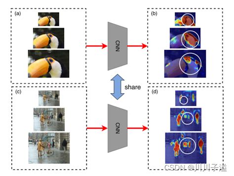 【弱监督语义分割论文阅读】基于多尺度注意力融合的弱监督语义分割自训练框架multi Scale Attention Fusion For Weakly Supervised Csdn博客