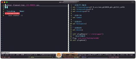 Linux上配置Vim的YouCompleteMe插件文本编辑更清爽和强大并具有一定的IDE能力 雨月空间站