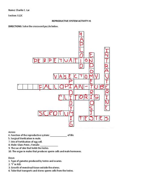 Reproductive System Activity 1 Directions Solve The Crossword Puzzle