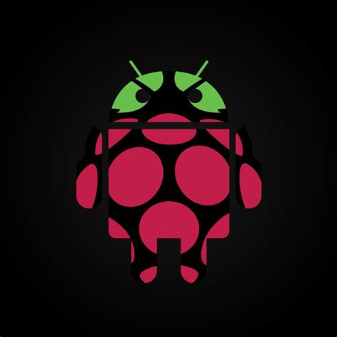 How To Install Android On A Raspberry Pi Botland