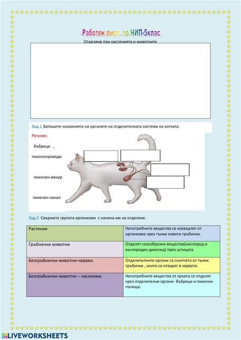 Отделяне при растения и животни Worksheet Live Worksheets
