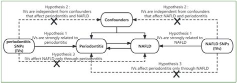 Assessing Causal Relationships Between Periodontitis And Non Alcoholic Fatty Liver Disease A