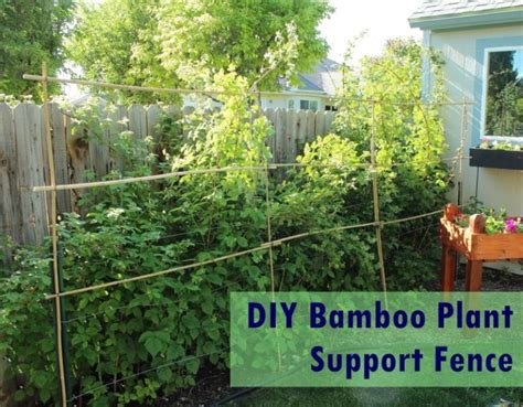 How To Build A Lattice Fence DIY Lattice Or Bamboo Plant Support Fence